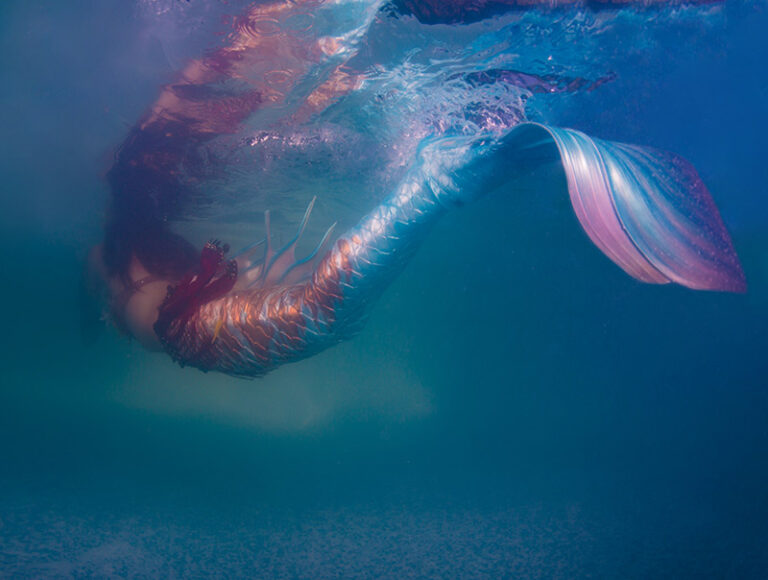 Nymphia - The Nautilus Mermaid (Transgender) – Underwater ...