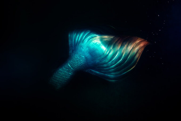 Nymphia - The Nautilus Mermaid (Transgender) – Underwater ...